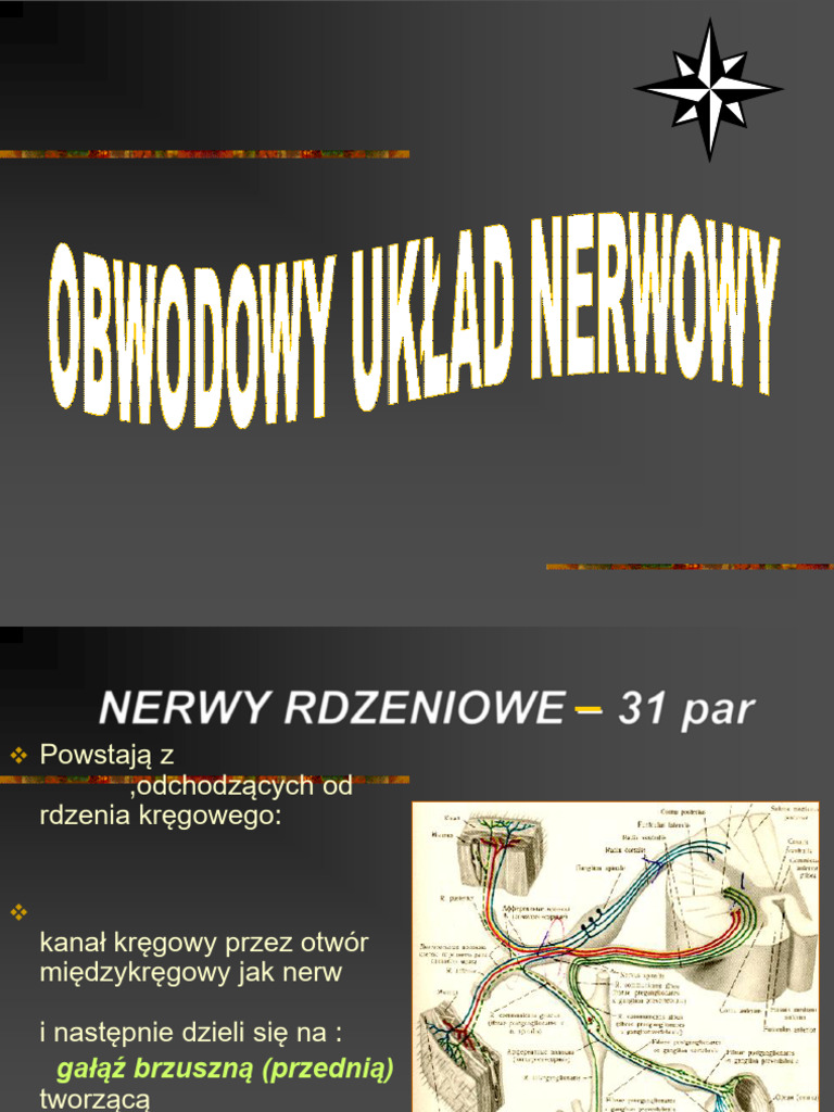 KD Wyklad 5 Sploty (1859) | PDF