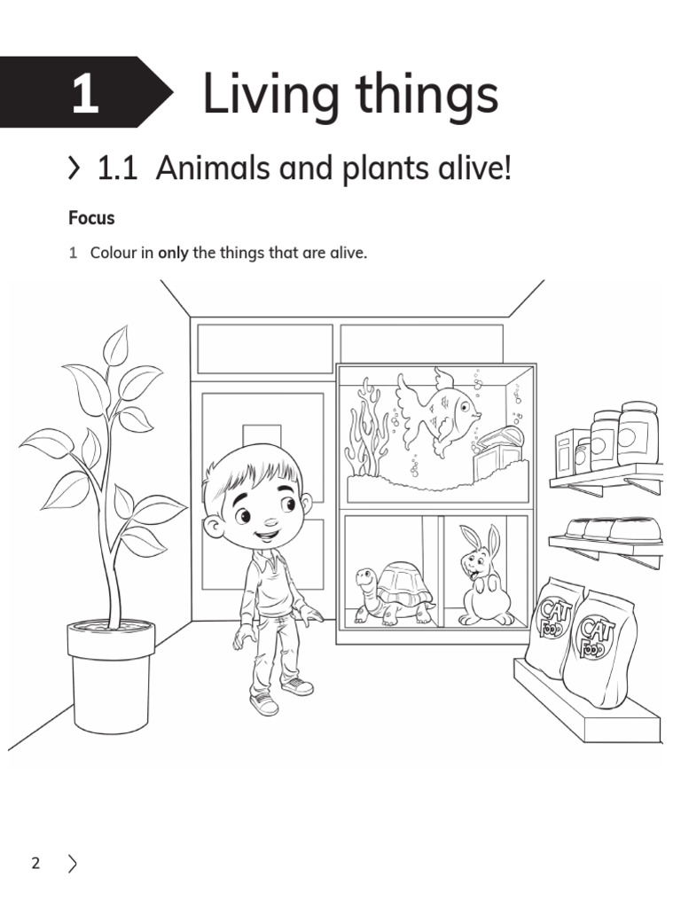SA2 Workbook Portions-Pages-1 | PDF | Leaf | Plants