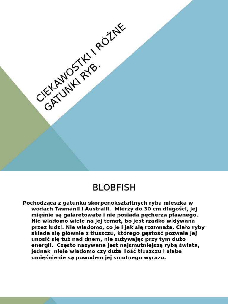 Ciekawostki I Różne Gatunki Ryb | PDF