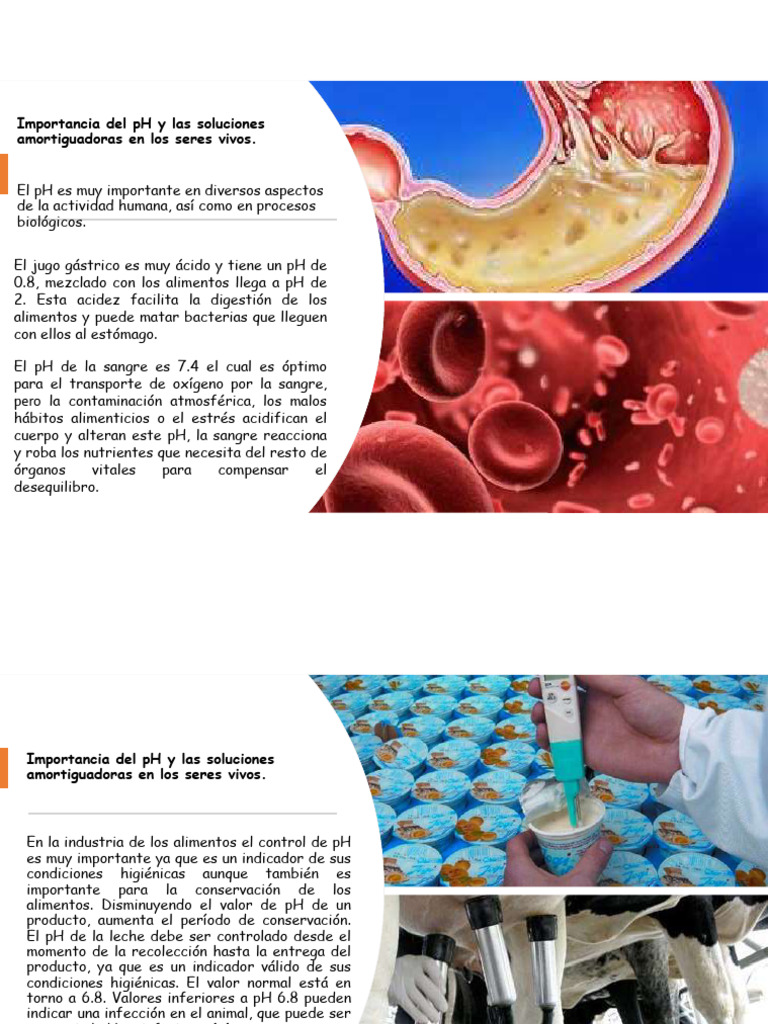 Importancia Del PH | PDF | Solución tampón | Ph