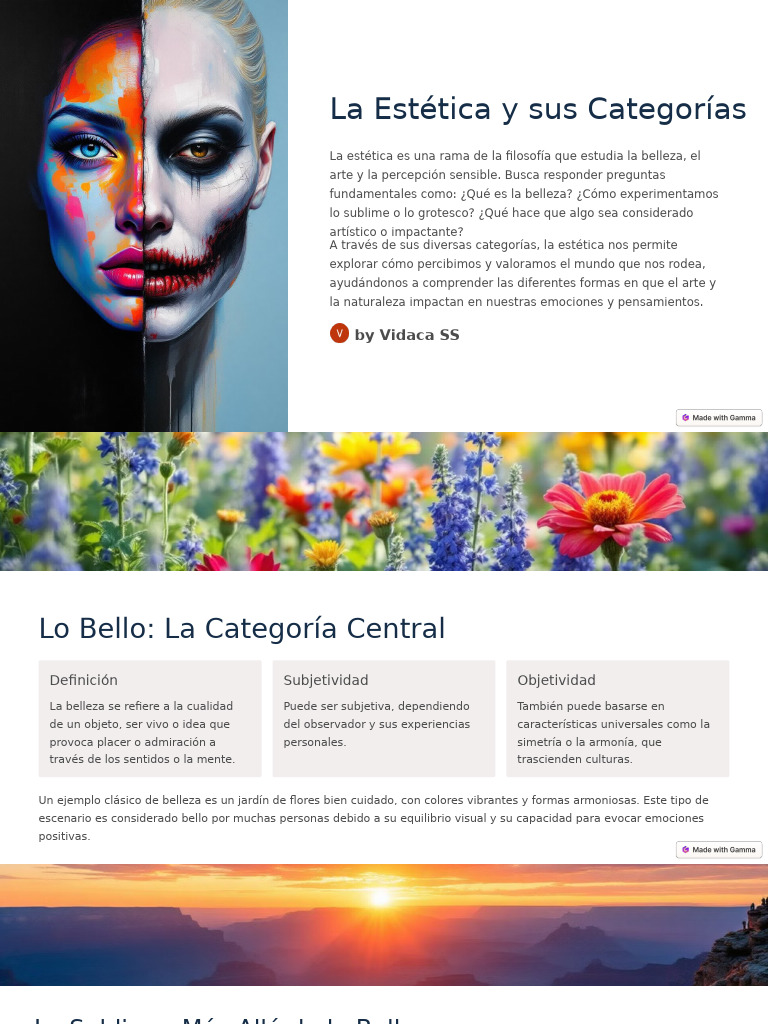 Categorías de la Estética: Belleza y Más | PDF | Belleza | Estética