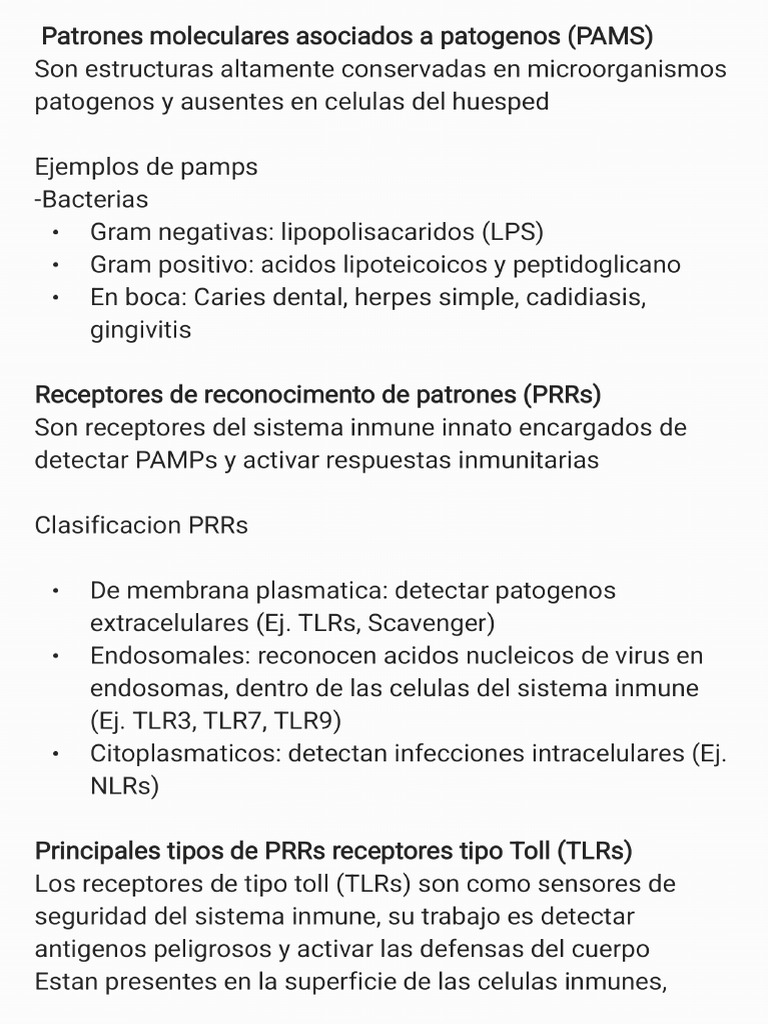 PRR 250310 113705 | PDF