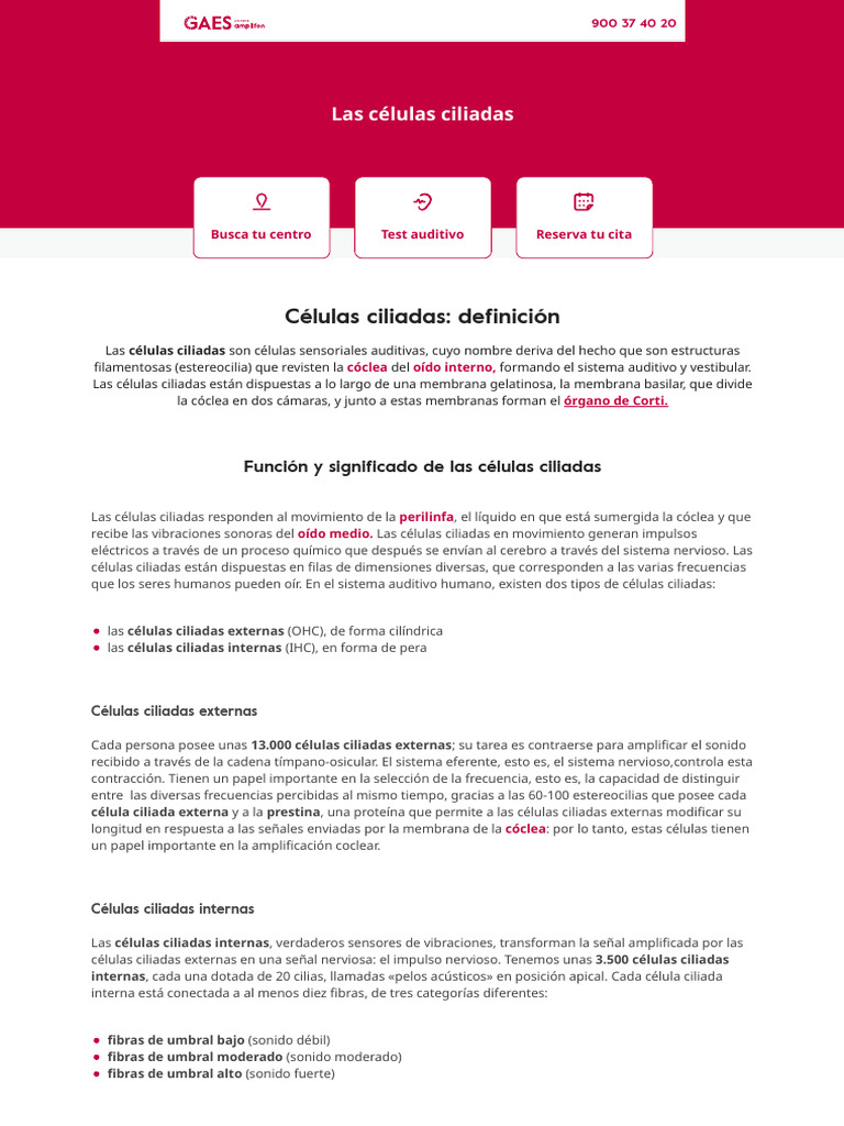 Células Ciliadas Del Oído Interno - GAES | PDF | Escuchando | Sistema ...