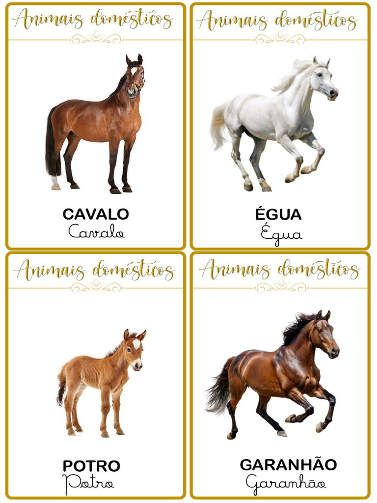 Flash Cards Animais Domésticos | PDF
