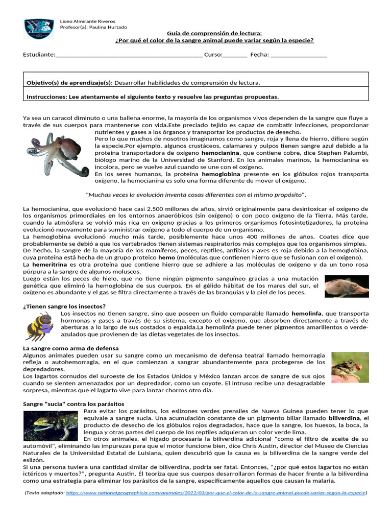 Lectura El Color de La Sangre | PDF | Sangre | Oxígeno