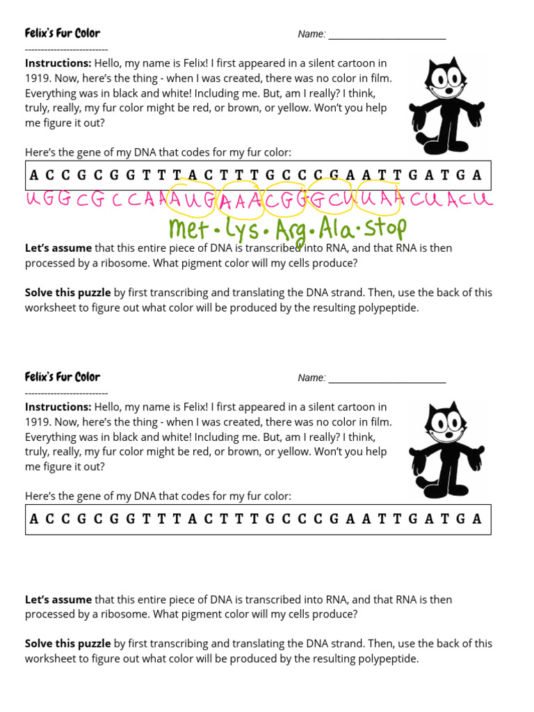 2024 06 06 Felix Fur Color Key | PDF | Translation (Biology) | Genetic Code