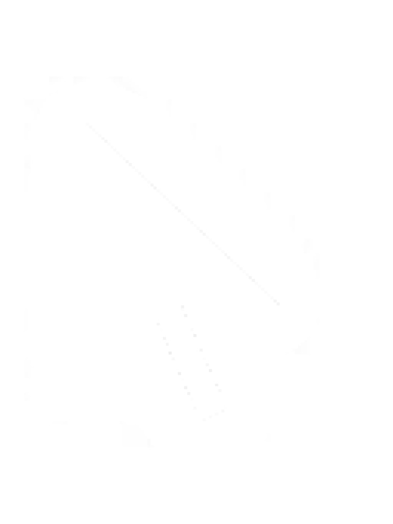 Cursor White Bloom | PDF