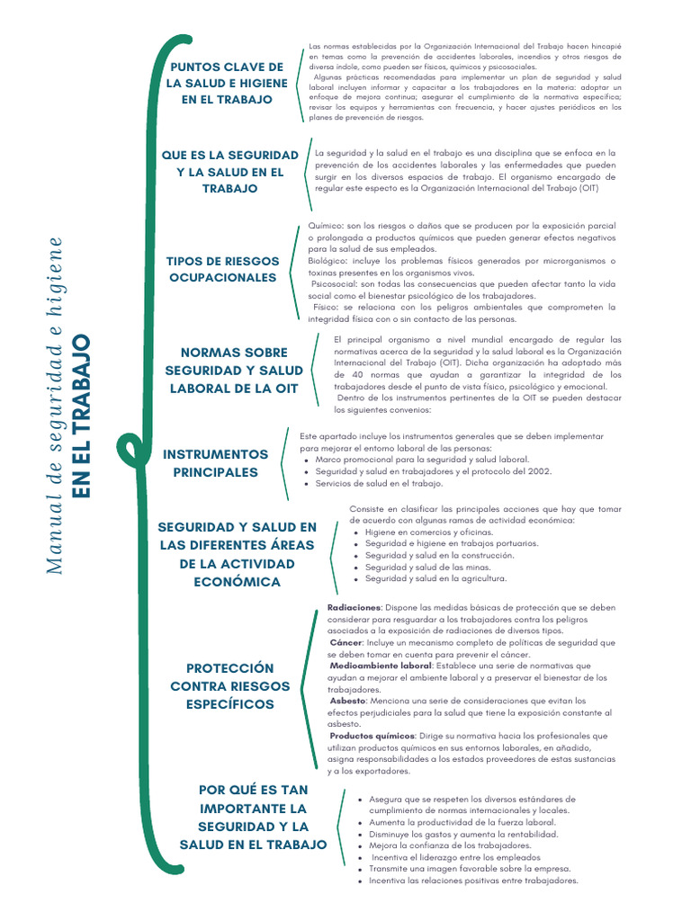 Manual de Seguridad e Higiene. | PDF | Seguridad y salud ocupacional | Valores