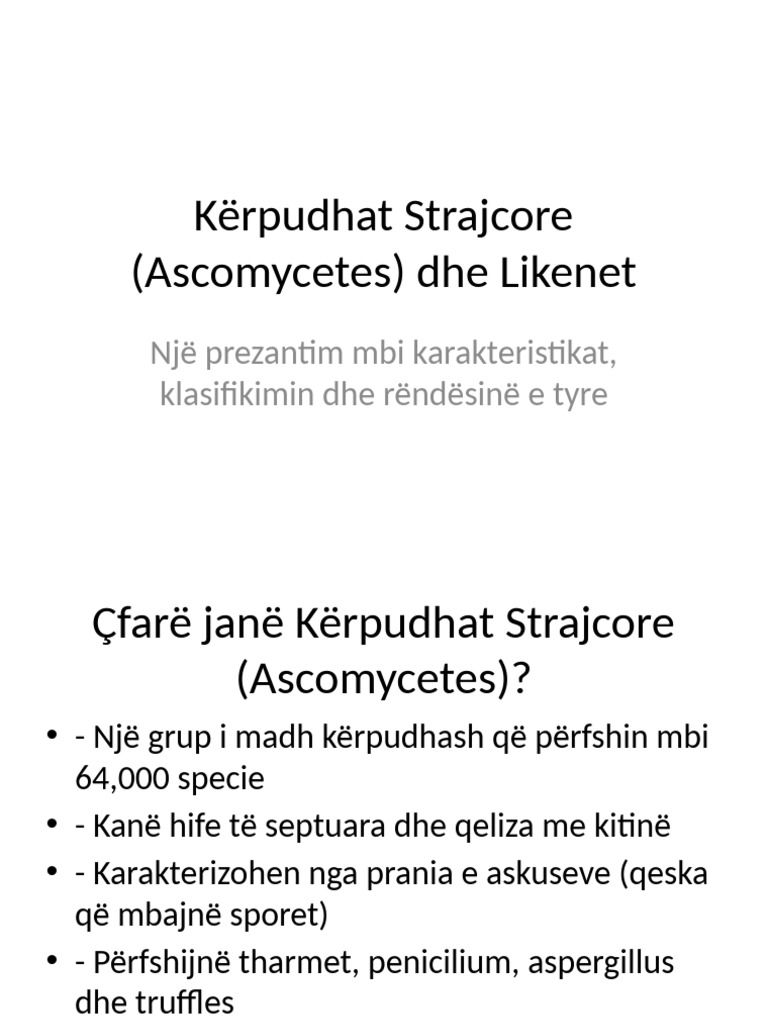 Kerpudhat Strajcore Likenet Expanded | PDF