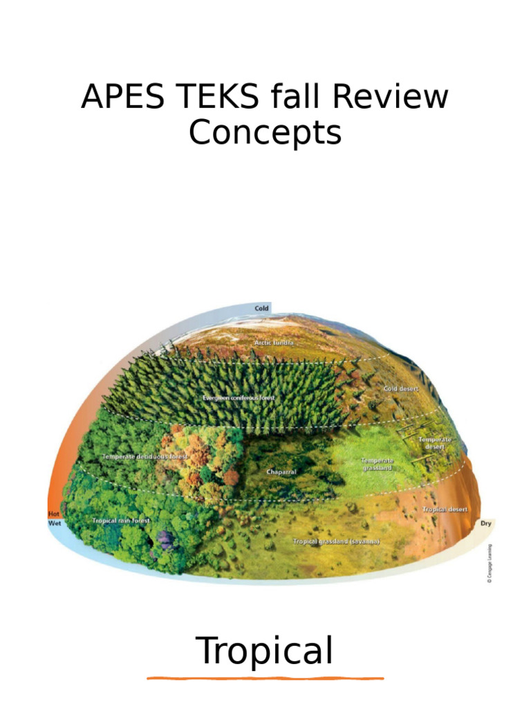 Apes Fall Review | PDF