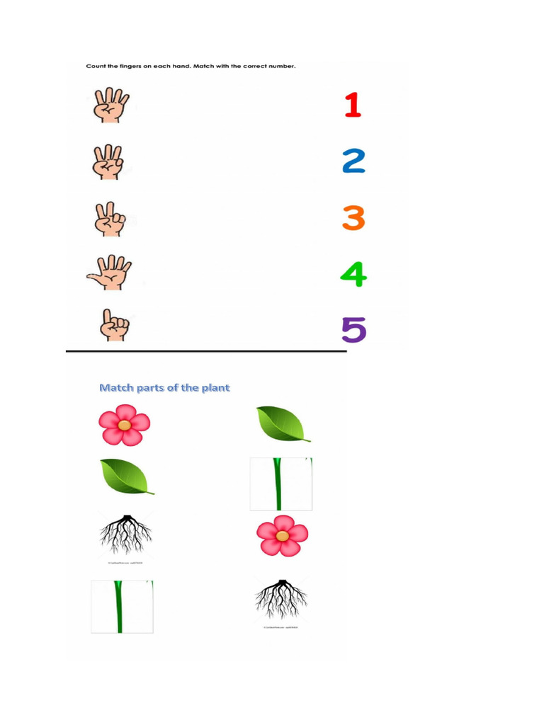 Ecd A Holiday Work | PDF