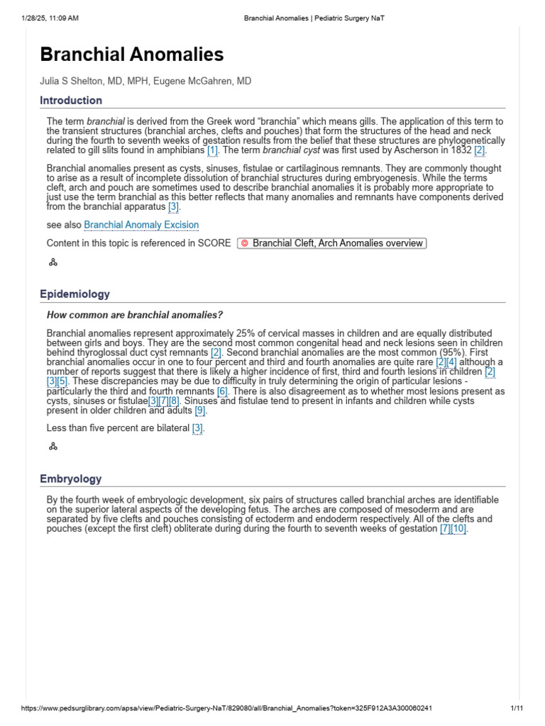 Branchial Anomalies - Pediatric Surgery NaT | PDF | Common Carotid ...