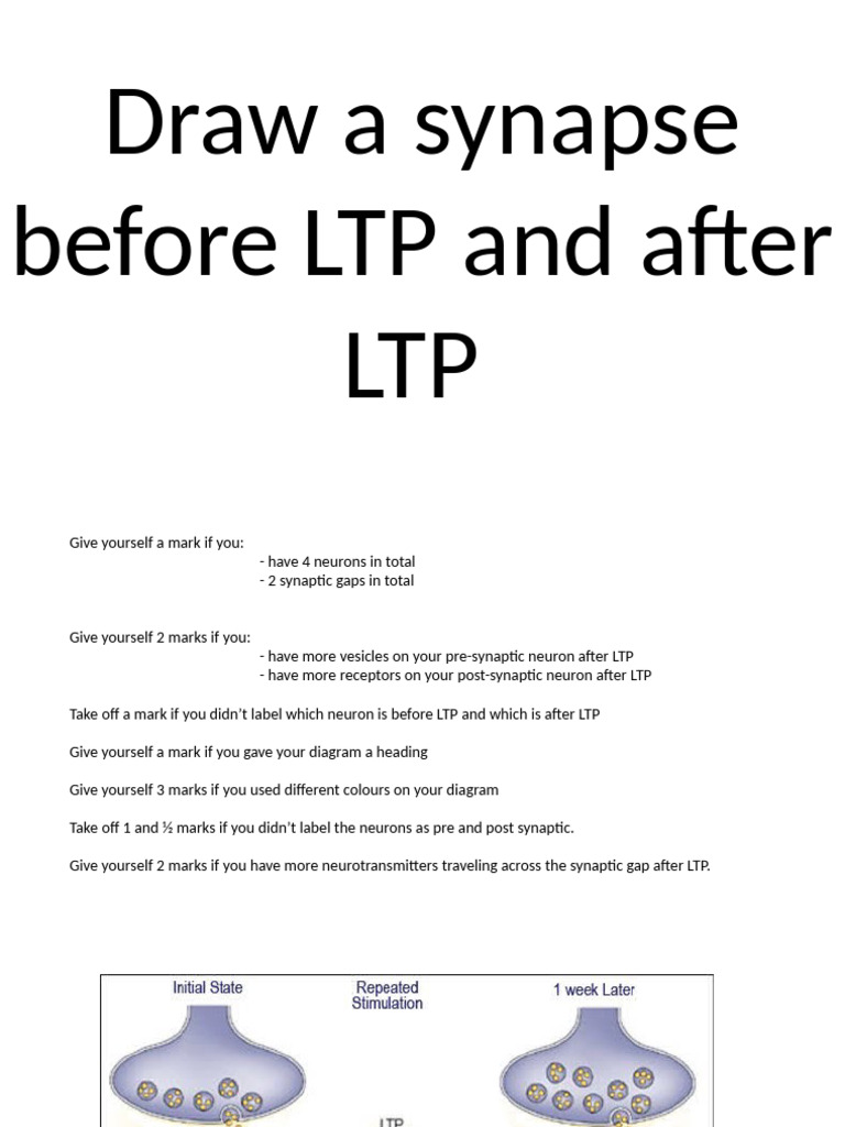1.1 LTP Review Activity | PDF