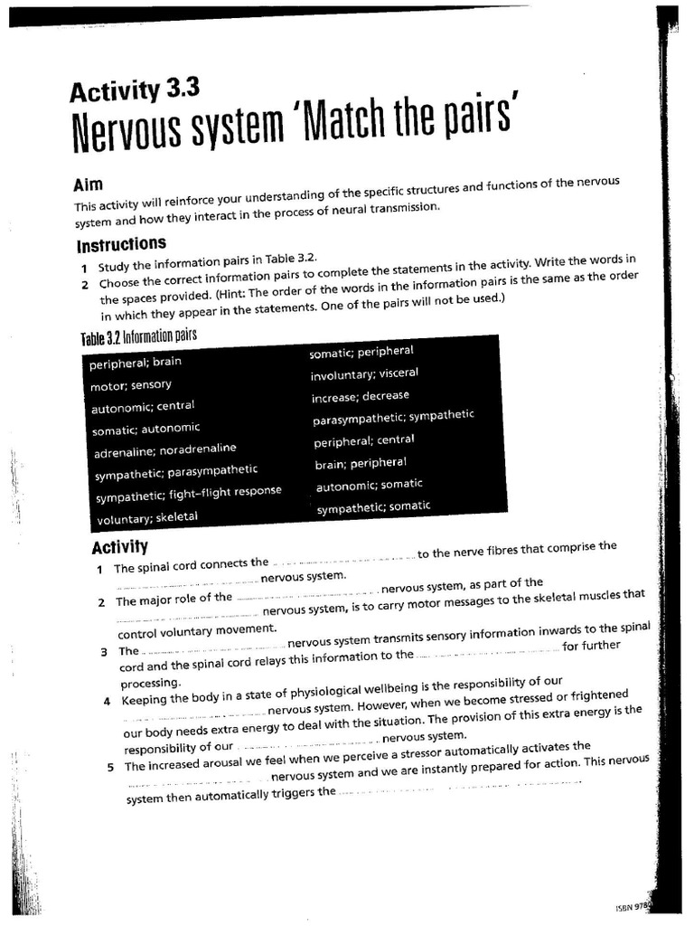 Nervous System (Match Pairs) | PDF