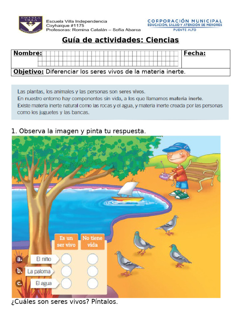 Actividades para Diferenciar Vivos y Inertes | PDF