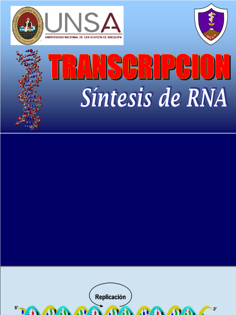 2transcripcion (Síntesis de Rna) | PDF | Rna | Messenger Rna