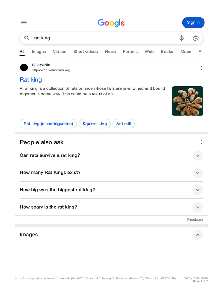 Rat King | PDF | Rat | Rodent