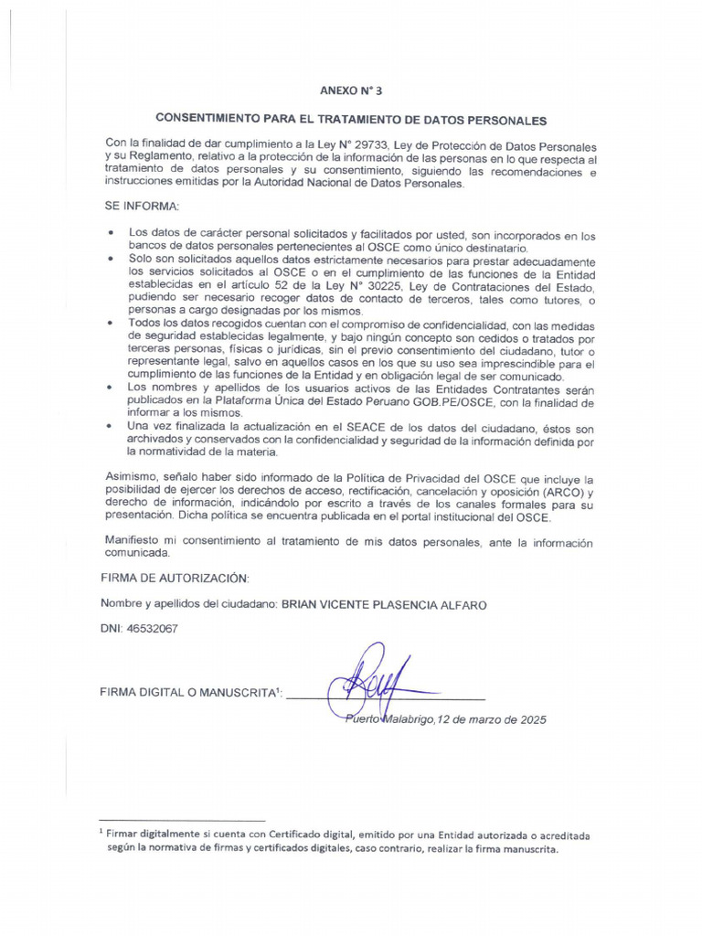 Anexo 3 Vicente | PDF