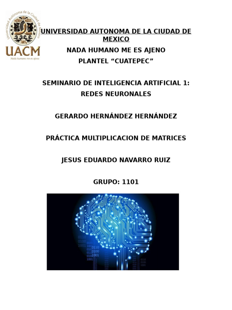 TAREA7. REDES NEURONALES | PDF