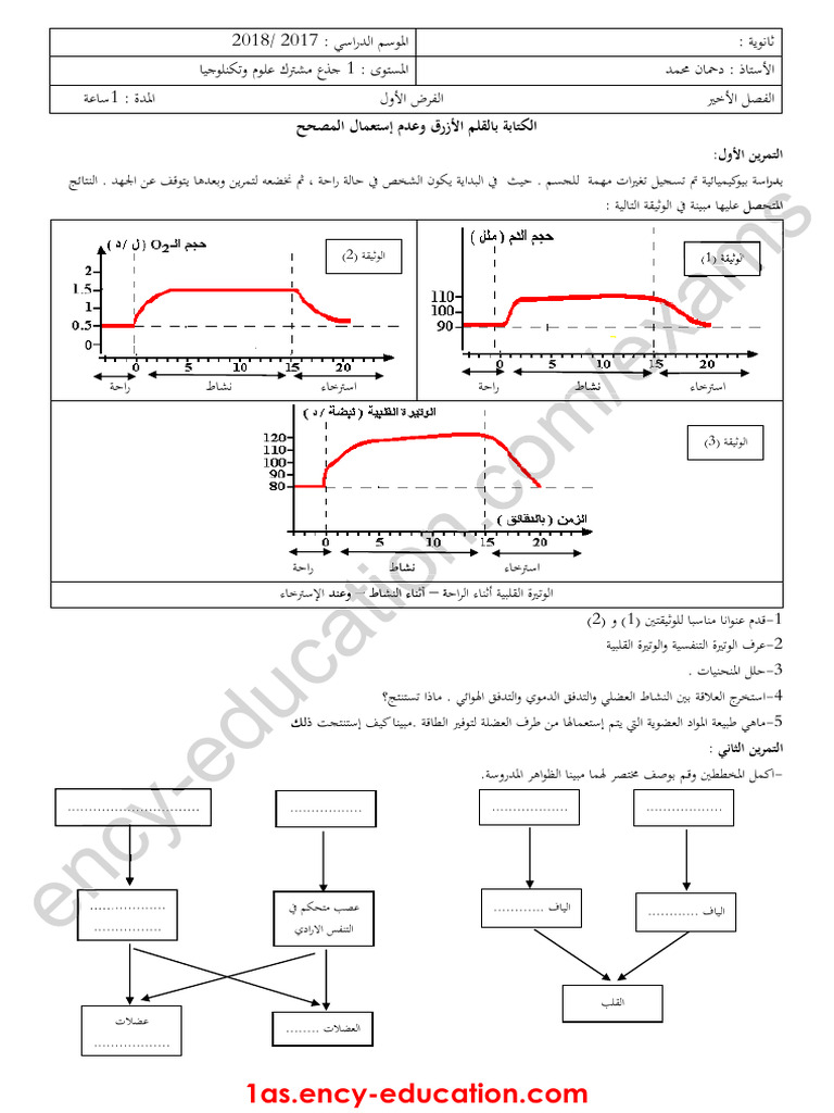 Sciences 1sci18 3trim d1 | PDF