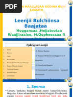 Qajeelfama Bulchiinsa Humna Namaa | PDF