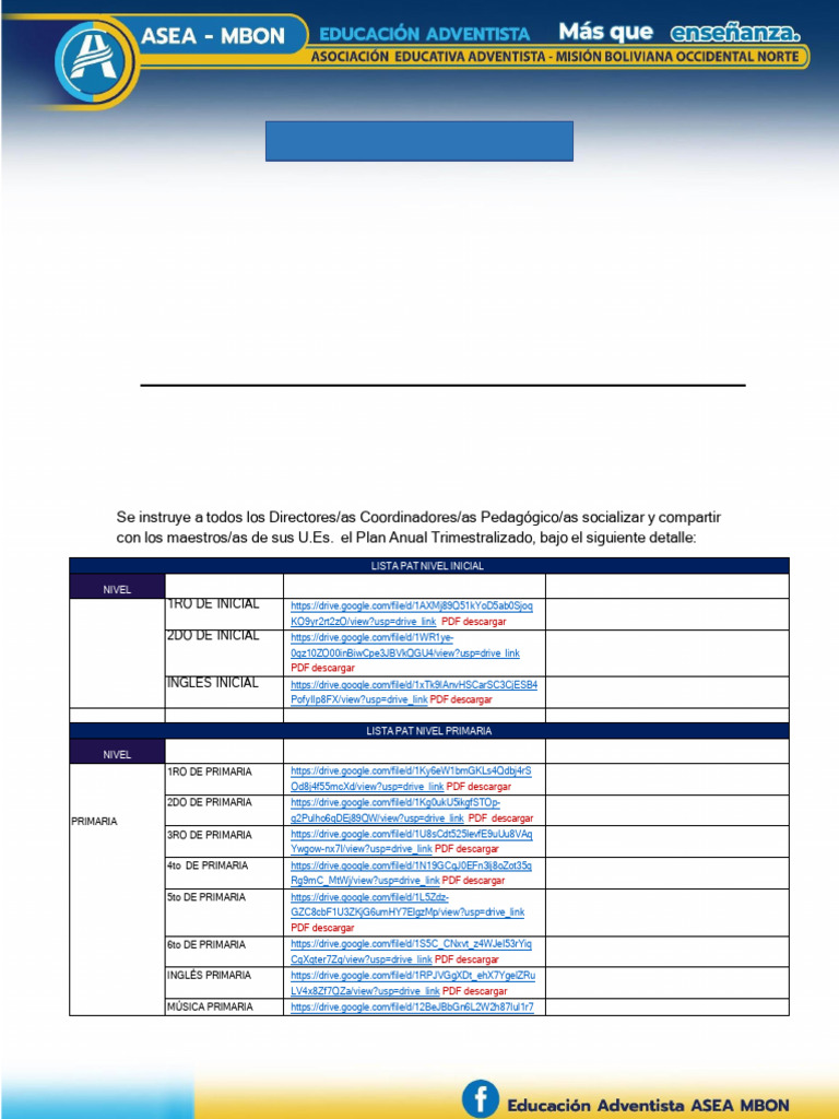 6 Instructivo Plan Anual Trimestralizado 2025 | PDF