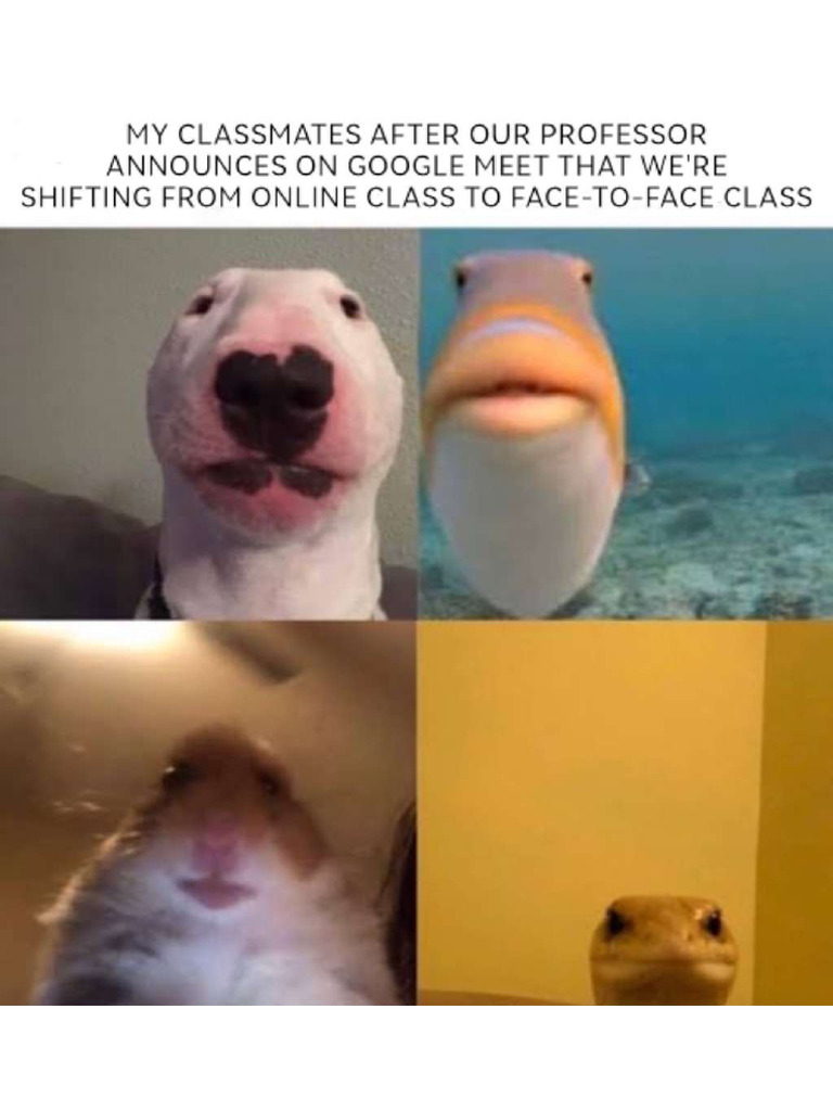 Meme | PDF