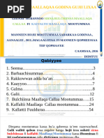 Xalayaa Deeggarsaa | PDF