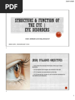 Grade 12 Life Science The Eye | PDF | Eye | Myopia