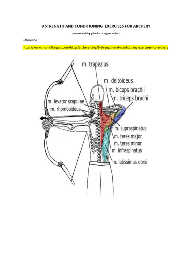 9 Strength and Conditioning Exercises For Archery | PDF