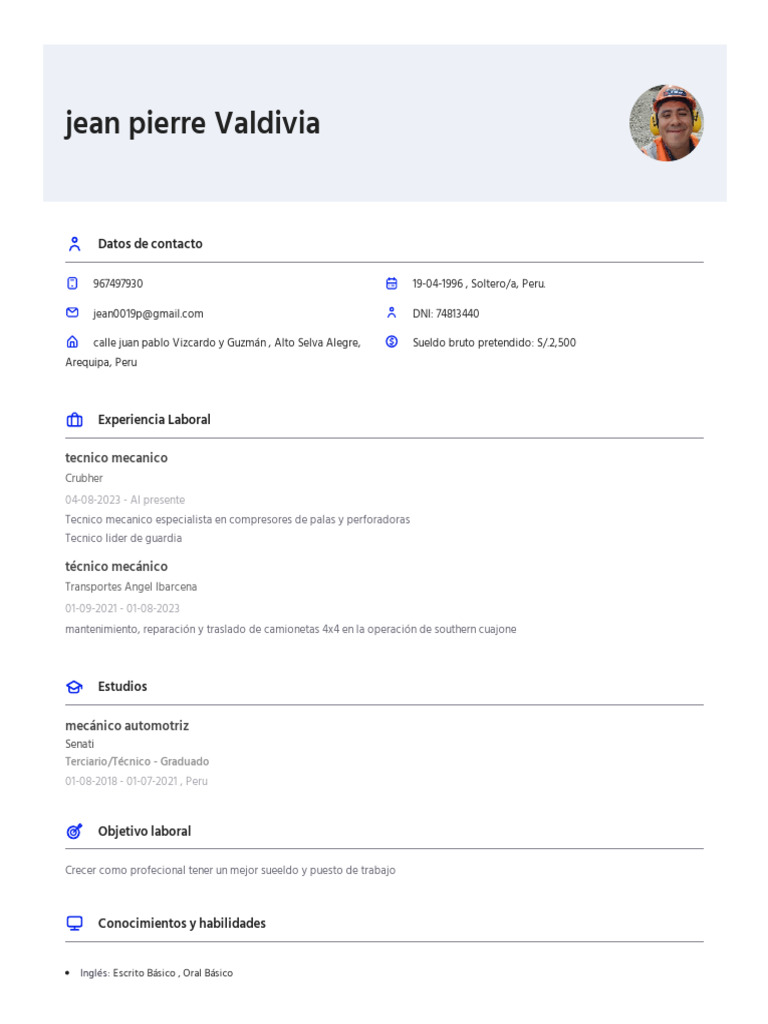 jean pierre cv | PDF