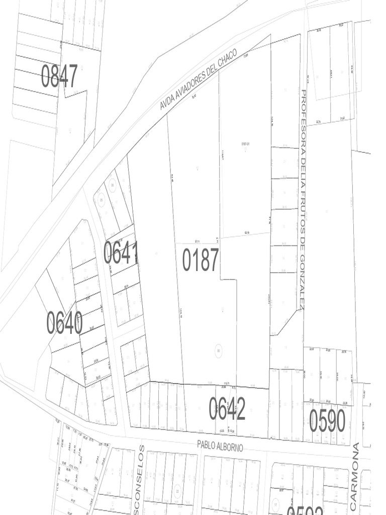 ASUNCION COMPLETO-Modelo | PDF