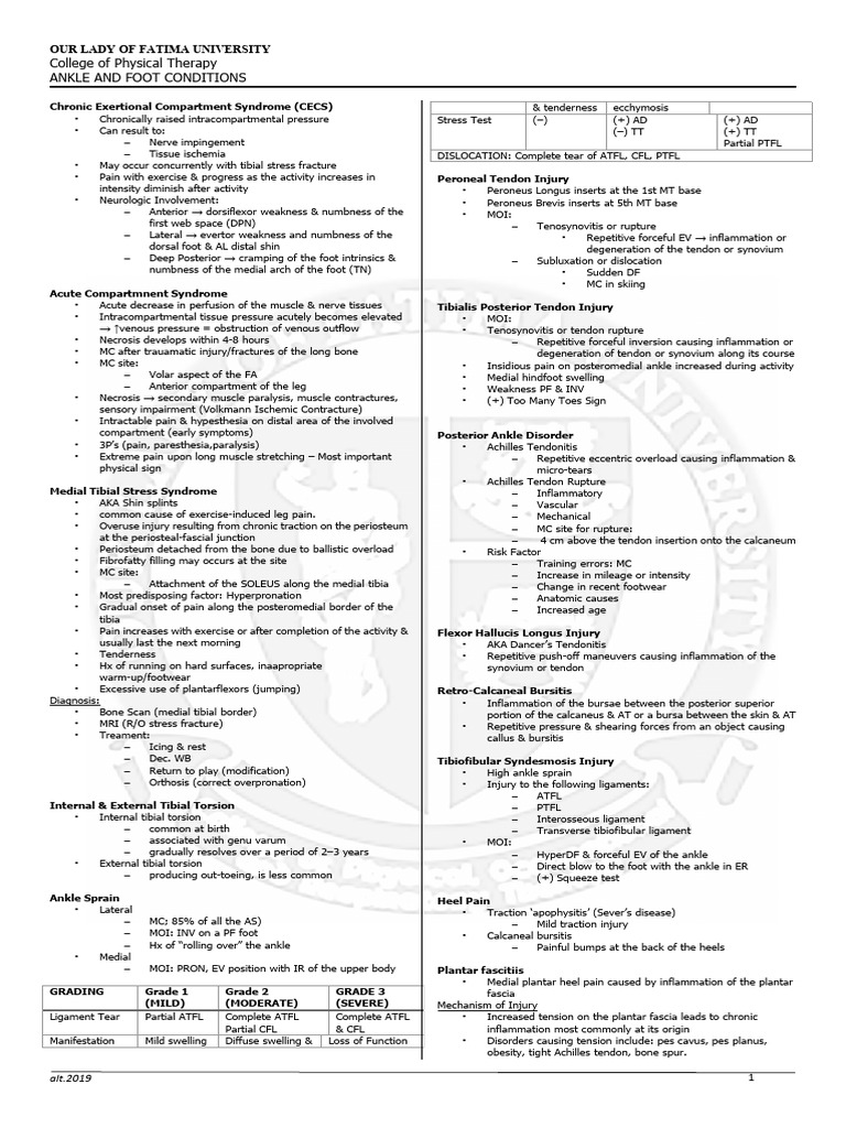 Ankle and Foot Conditions Overview | PDF | Foot | Human Leg