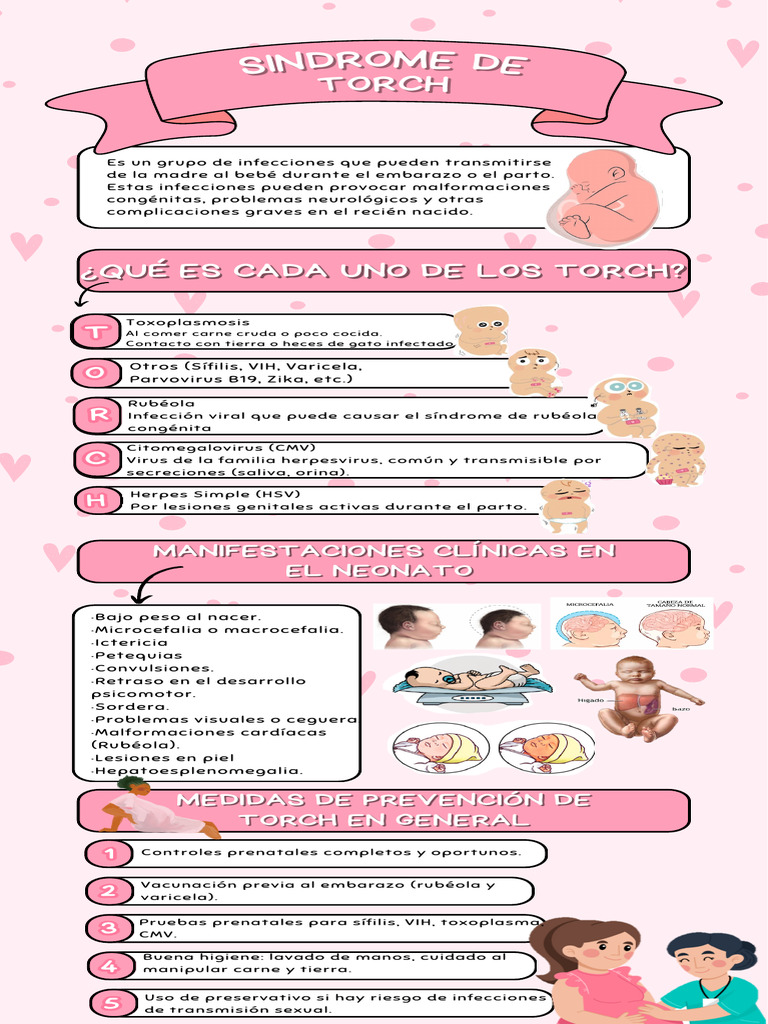 Sindrome de Torch | PDF