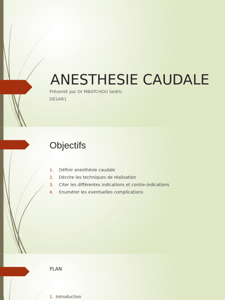Anesthésie Caudale chez l'Enfant | PDF