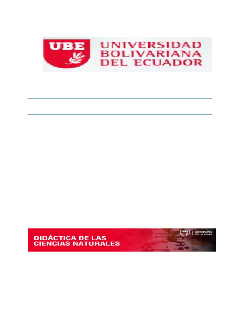 CLASE PRACTICA 2 CC NN | PDF | Maestros | Enseñando