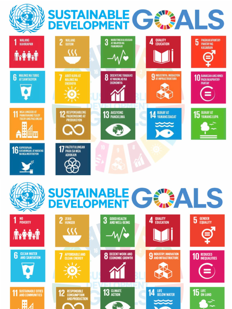 SDG | PDF