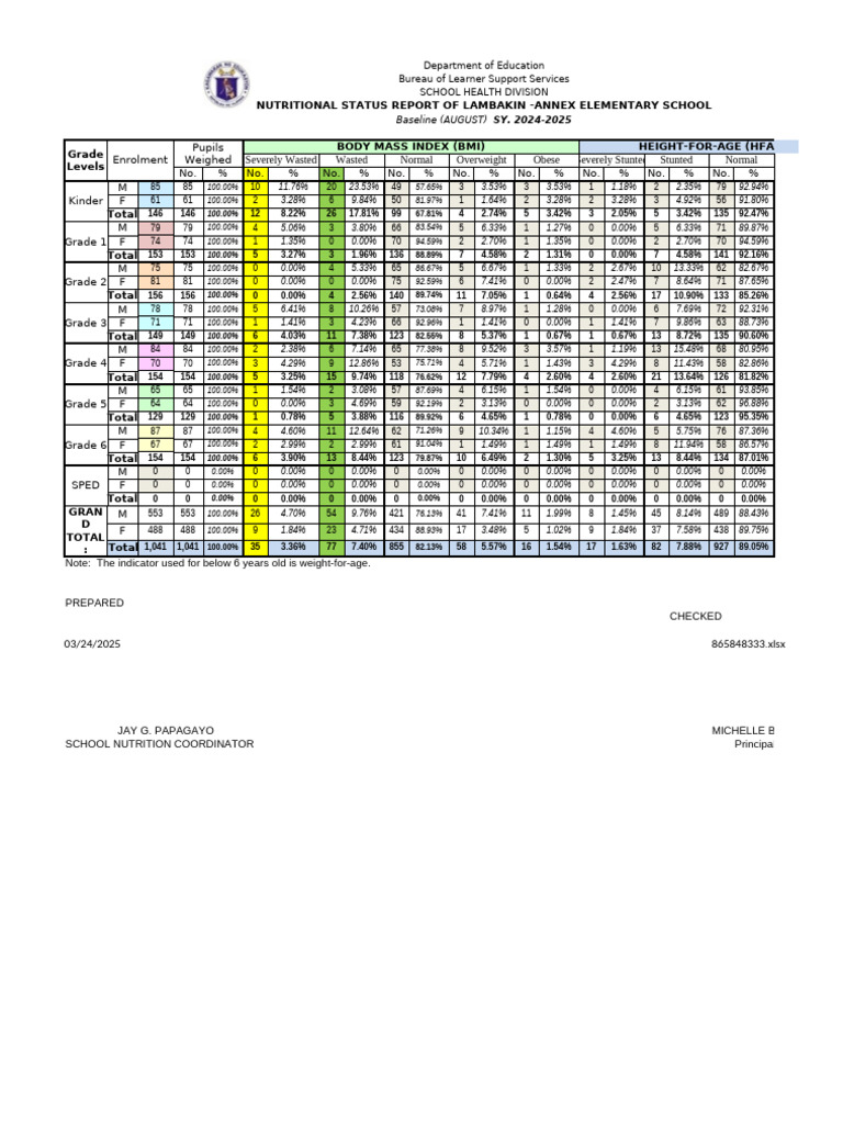 Baseline Sy2024 2025 Annex | PDF | Body Mass Index | Physical Attractiveness
