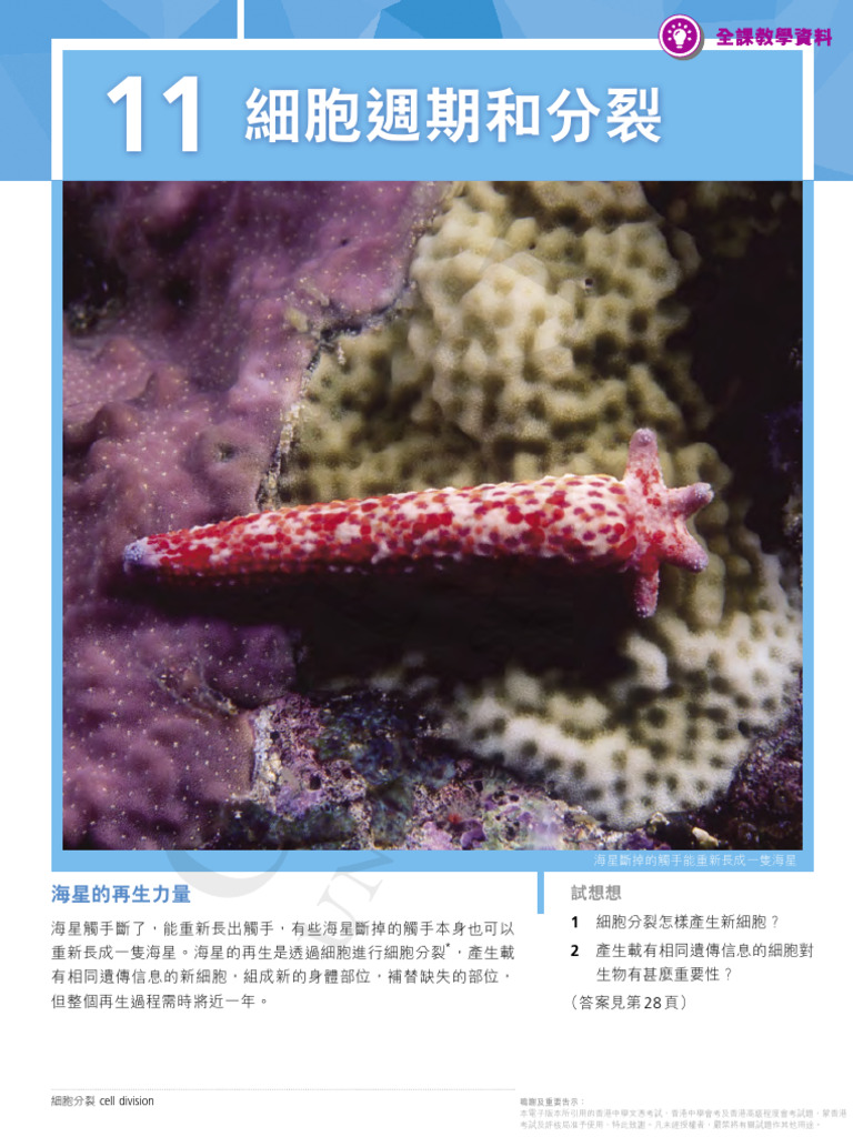 NSSBIO3E_SB2_Ch11_c | PDF