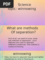 Understanding the Winnowing Process | PDF | Agriculture