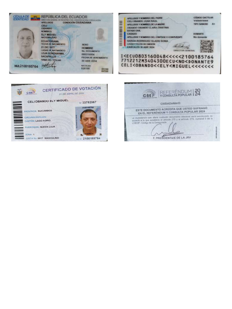 Cedula Miguel 2024 | PDF