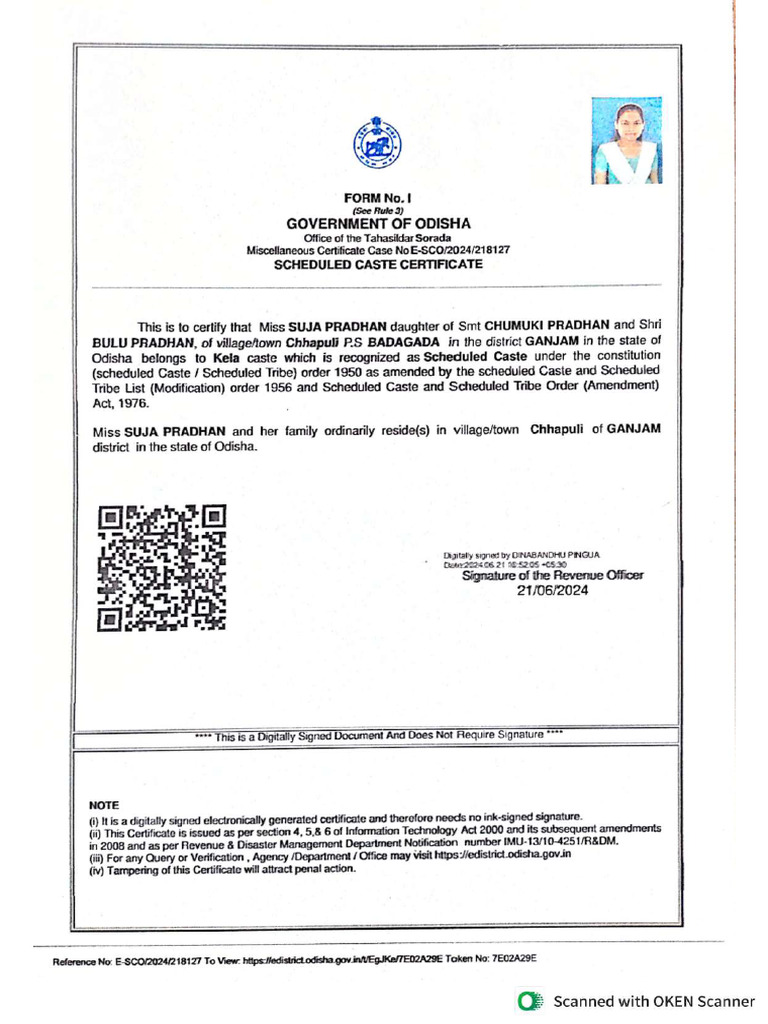 Caste_compressed | PDF