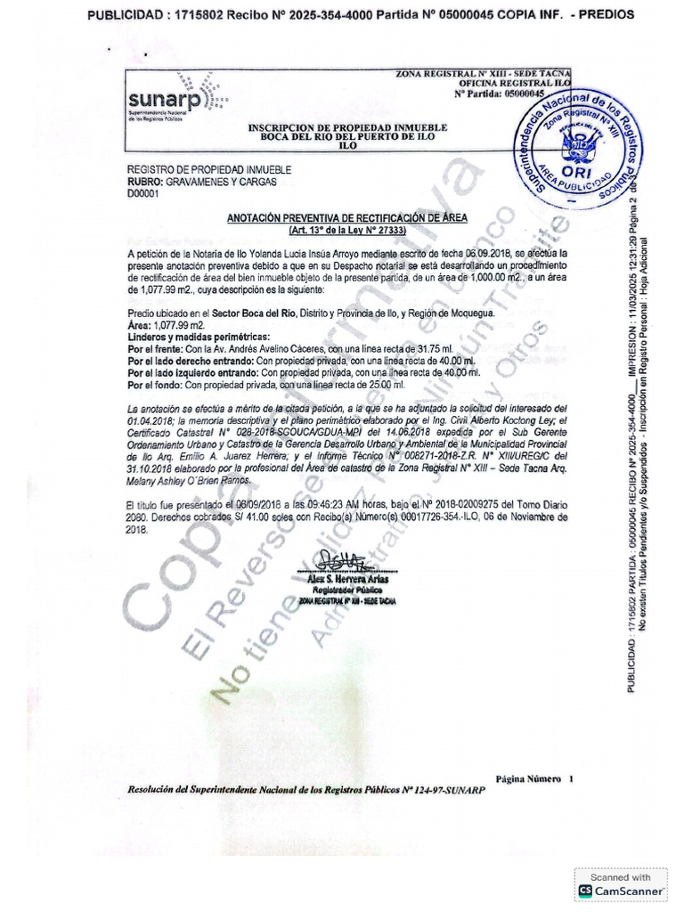 Partida Registral Aqua - Sunarp | PDF