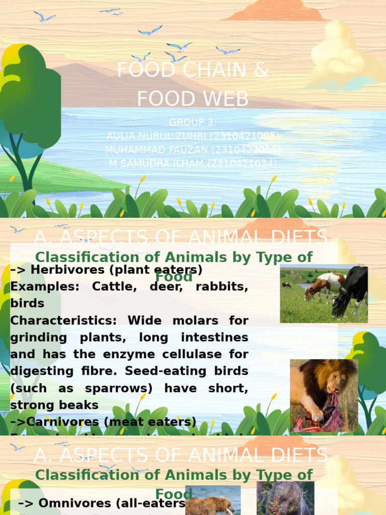 Food Chain and Food Web | PDF | Food Web | Herbivore