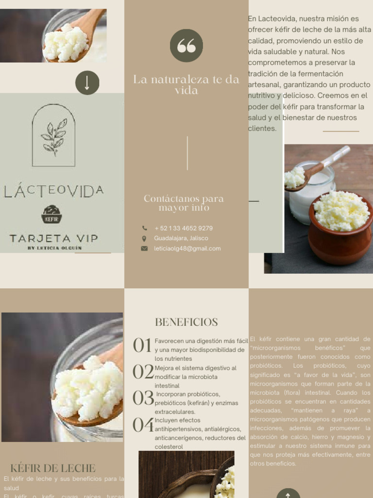 Cuidados y beneficios de búlgaros de leche | PDF | Probiótico | Biología