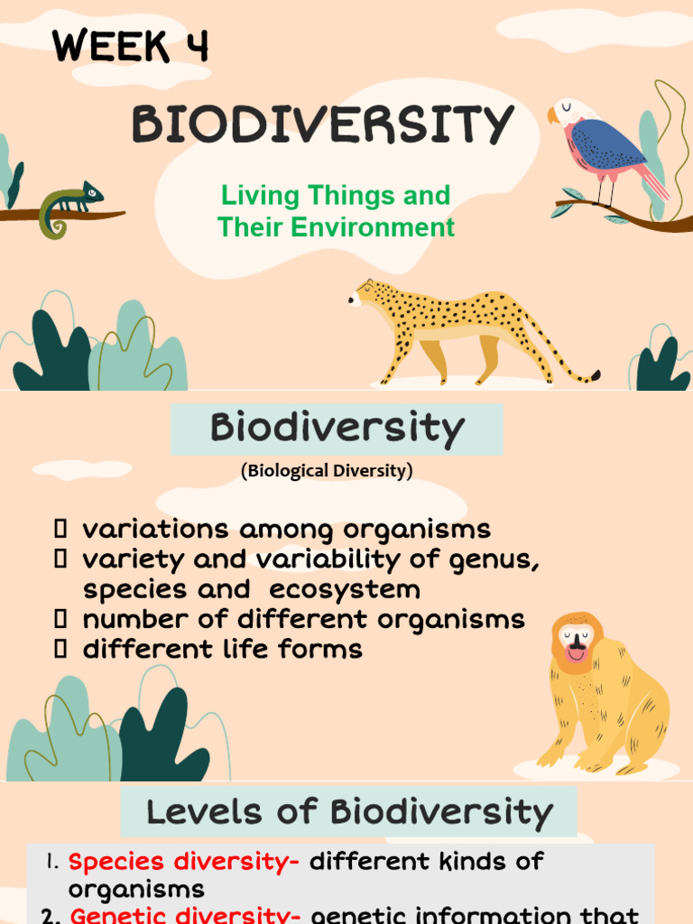 Q4 Week-4 - Biodiversity | PDF | Biology | Organisms