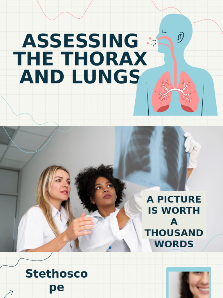 Assessing The Thorax and Lungs (Students) | PDF | Thorax | Lung