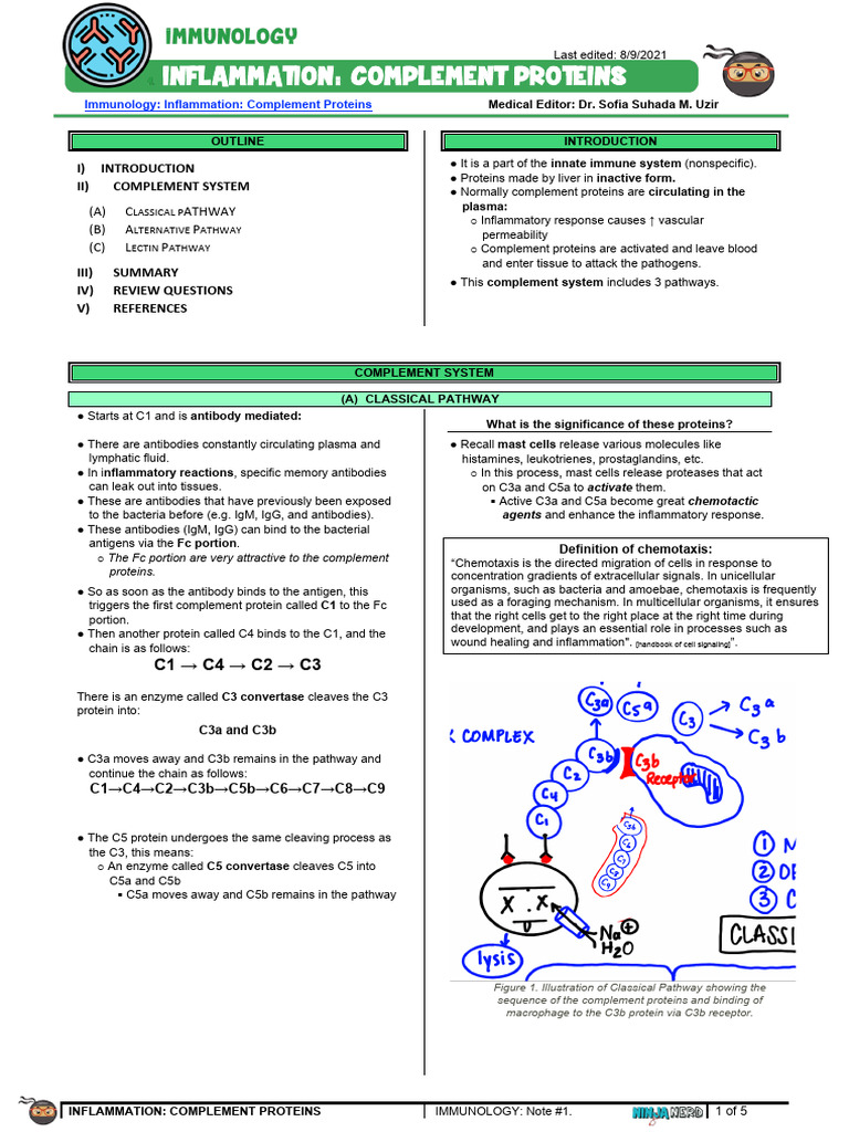 Immunology Physiology) Inflammation Complement Proteins Part 3 | PDF | Complement System ...