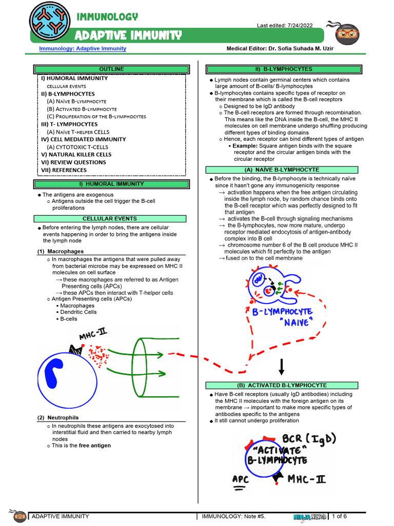 282 - Immunology Physiology) Adaptive Immunity | PDF | T Helper Cell ...