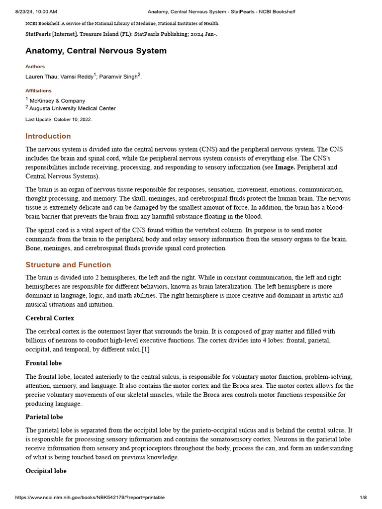 Anatomy, Central Nervous System - StatPearls - NCBI Bookshelf | PDF ...